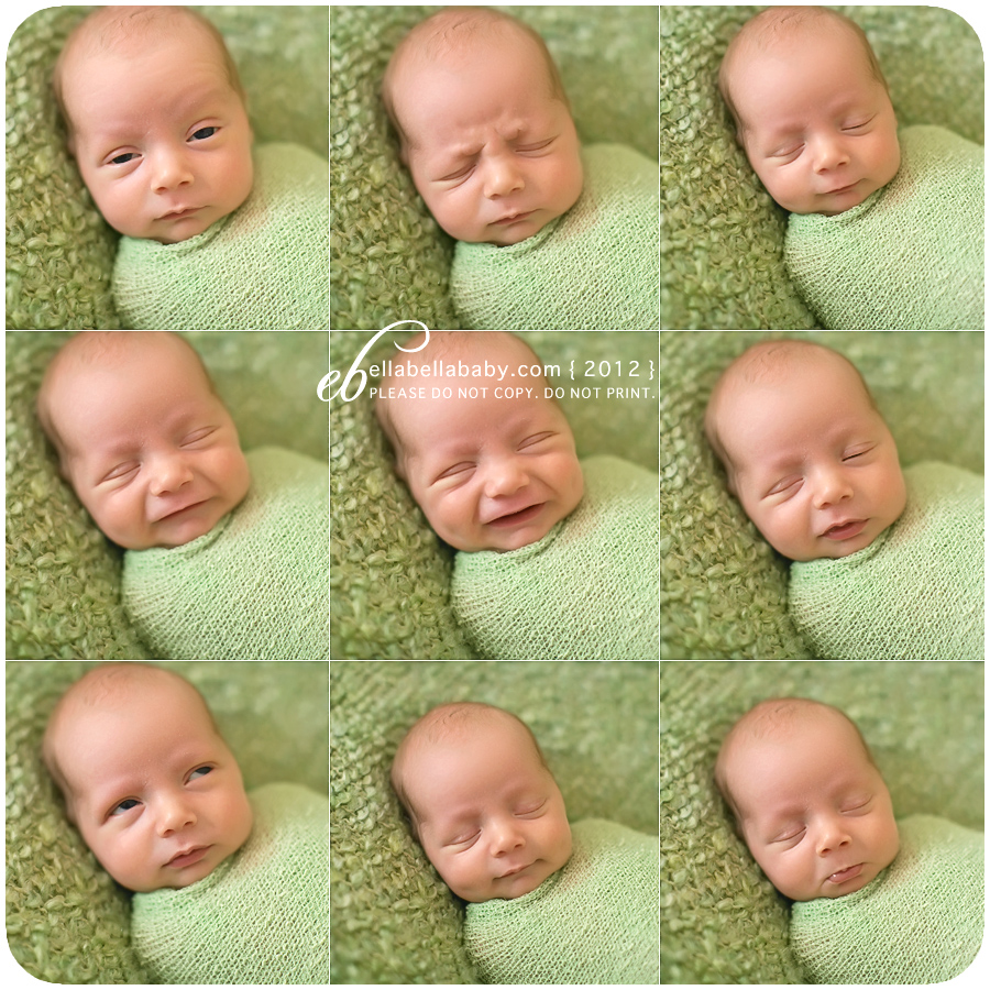 The Many Faces of Cute! { Austin Newborn Photographer } | Ella Bella ...