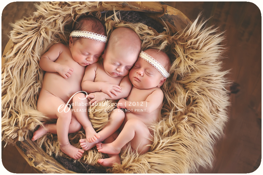Trio { Austin Newborn Photographer } | Ella Bella Photography - Newborn Photographer in Austin ...