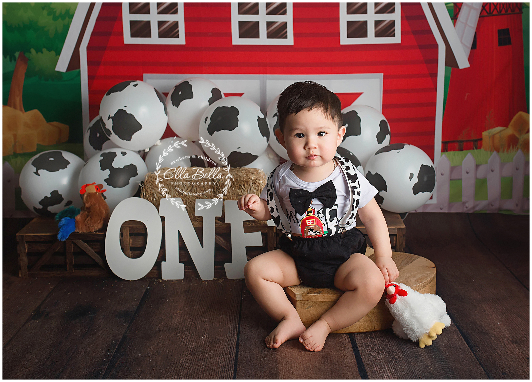 Farm Cake Smash ~ San Antonio One Year Cake Smash Sessions at Ella ...