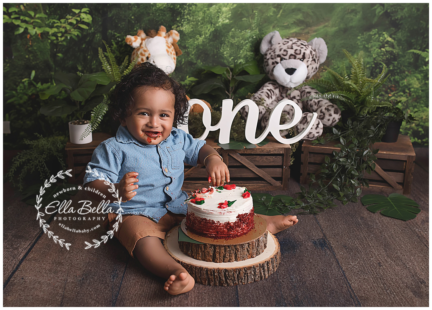 Jungle Cake Smash ~ San Antonio One Year Cake Smash Photographer - Ella Bella Photography | Ella ...