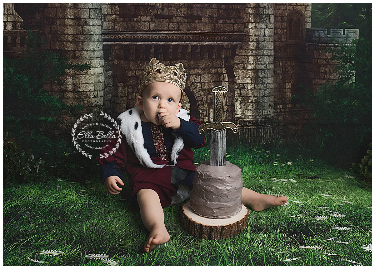 Sword in the Stone ~ San Antonio One Year Cake Smash Photographer - Ella Bella Photography ...
