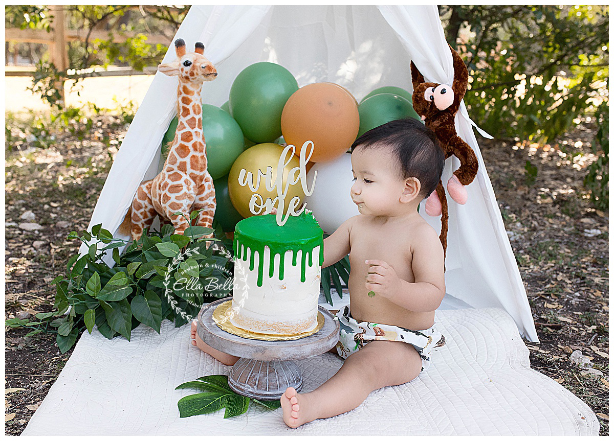 Wild One ~ San Antonio One Year Cake Smash Photographer - Ella Bella Photography | Ella Bella ...