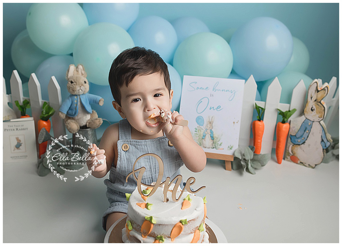 Peter Rabbit ~ San Antonio One Year Cake Smash Photographer - Ella ...
